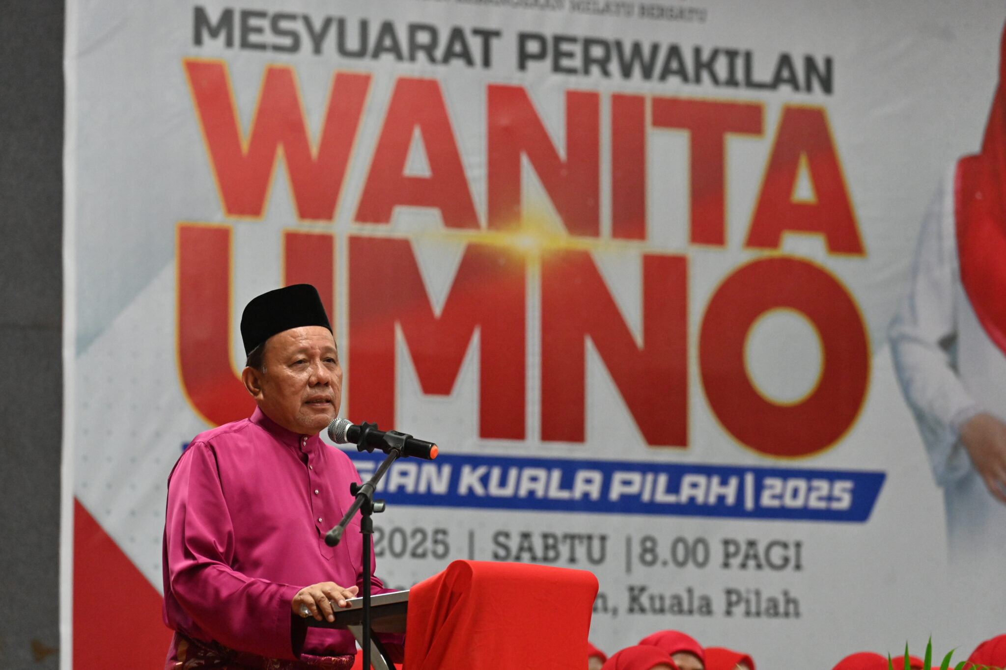 ‘Jasa UMNO, Realiti Sejarah Yang Tidak Boleh Dinafikan’ – Ismail